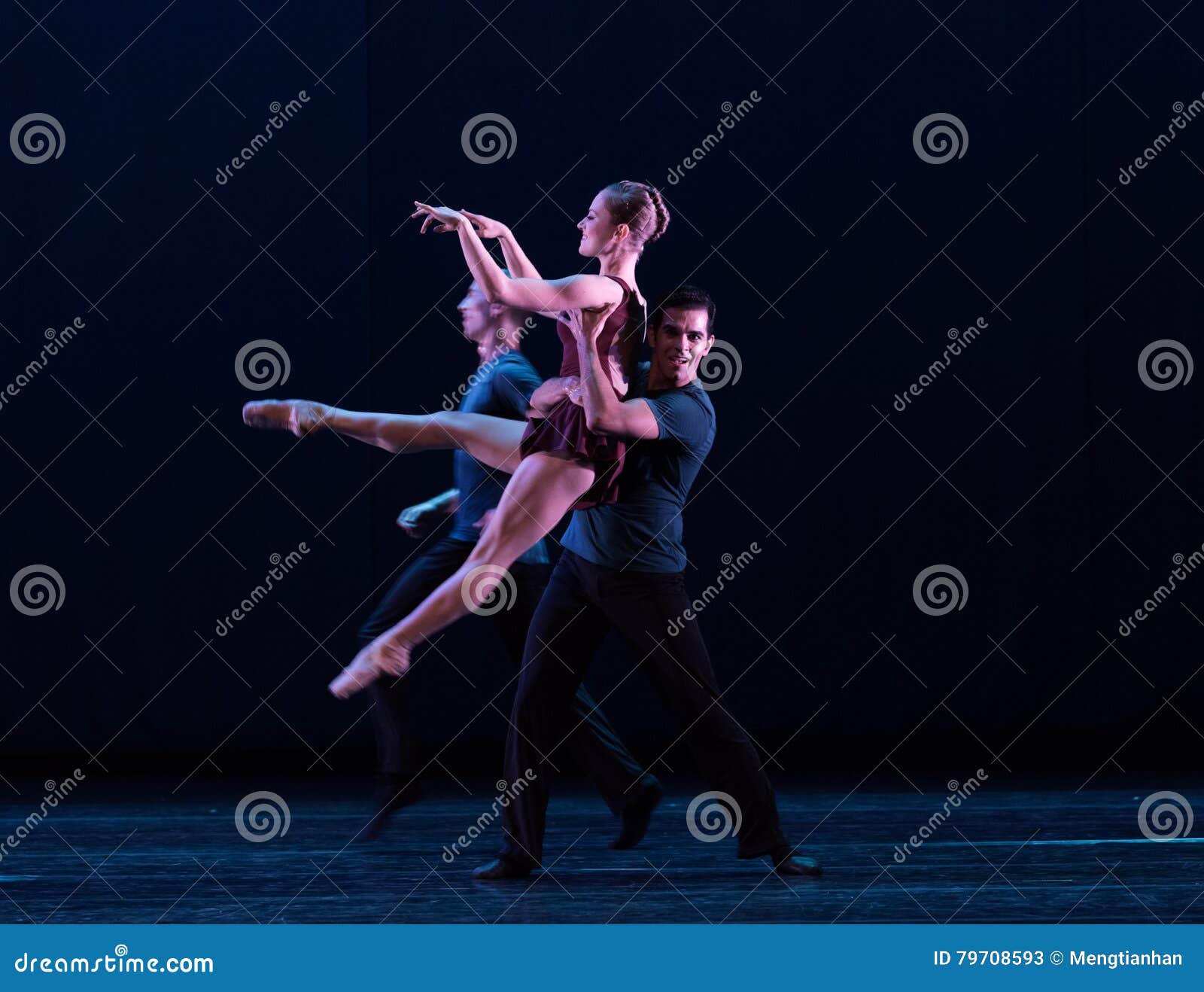 Lithe Bird-Classical Ballet `Austen Collection` Editorial Stock Photo ...