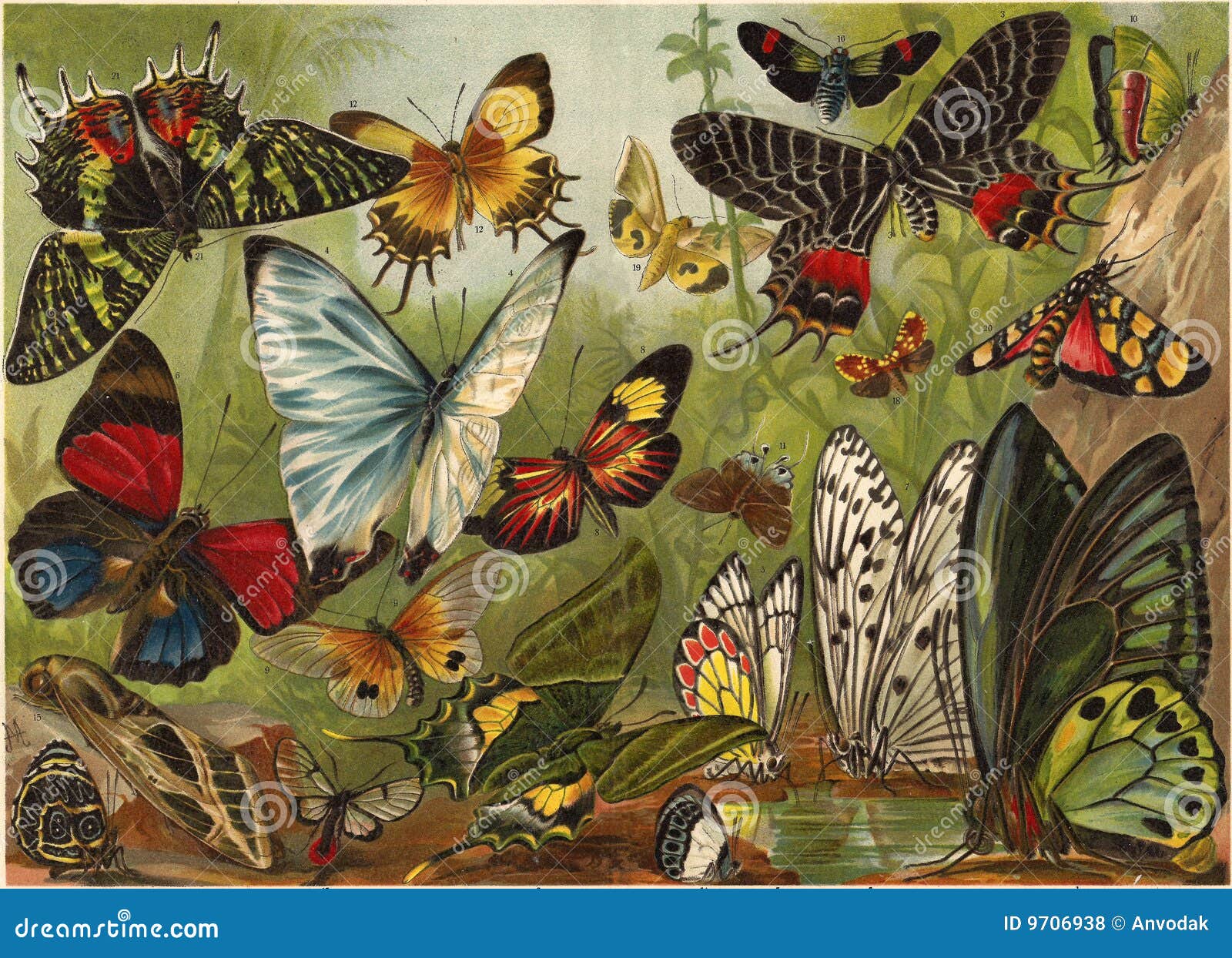 Lithography Background Stock Illustrations – 1,335 Lithography ...