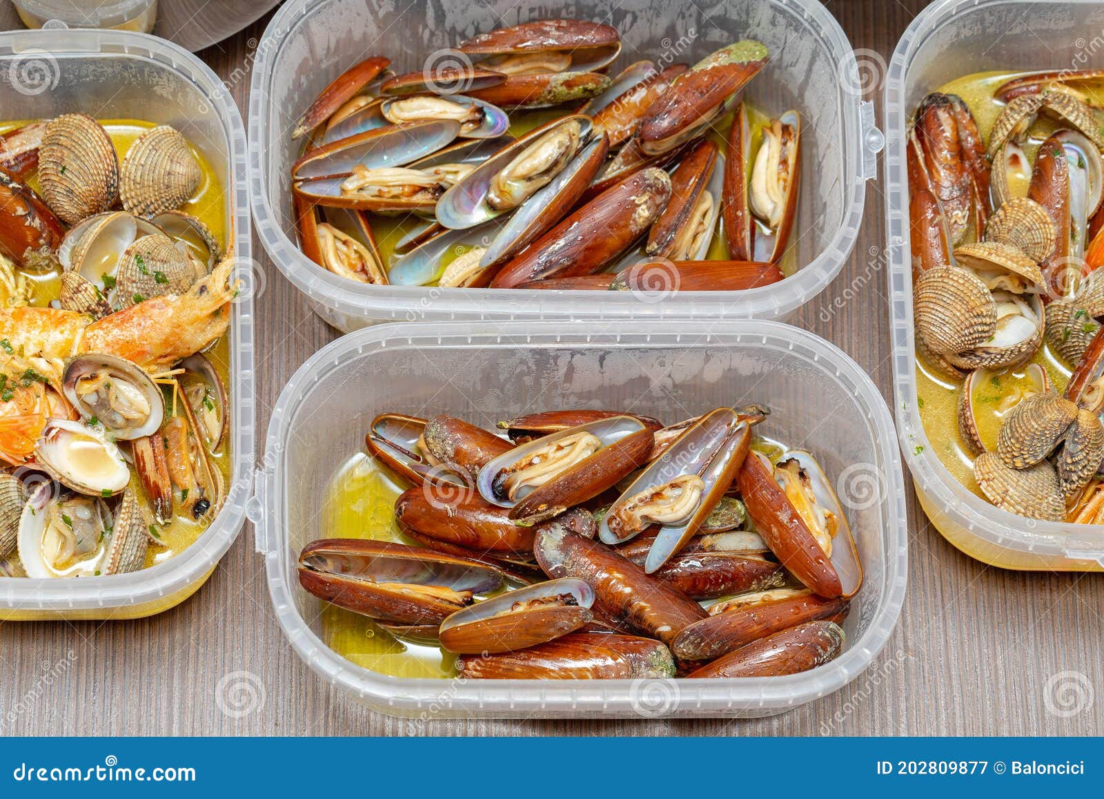 Lithophaga Dates stock image. Image of cooked, shells - 202809877