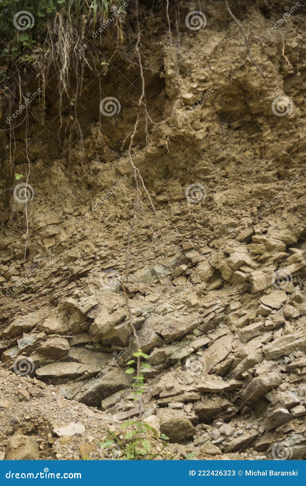 Lithosol soil stock image. Image of stone, lithosol - 222426323