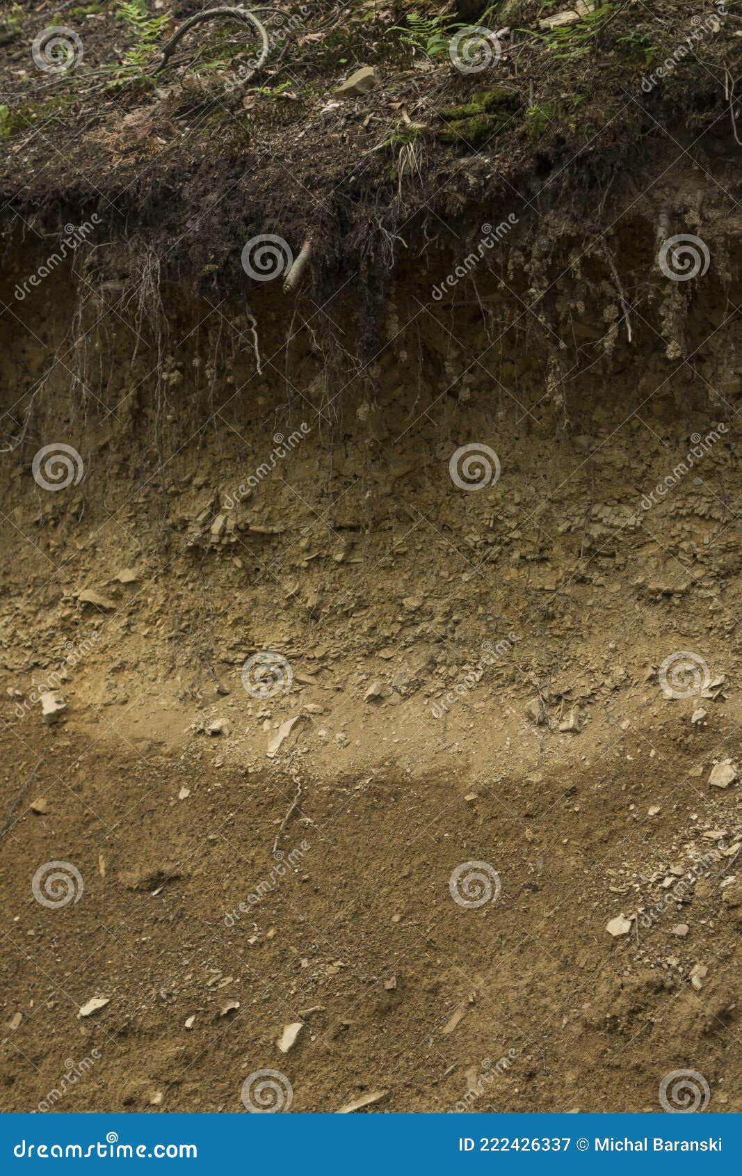 Lithosol soil stock image. Image of shallow, soil, layer - 222426337