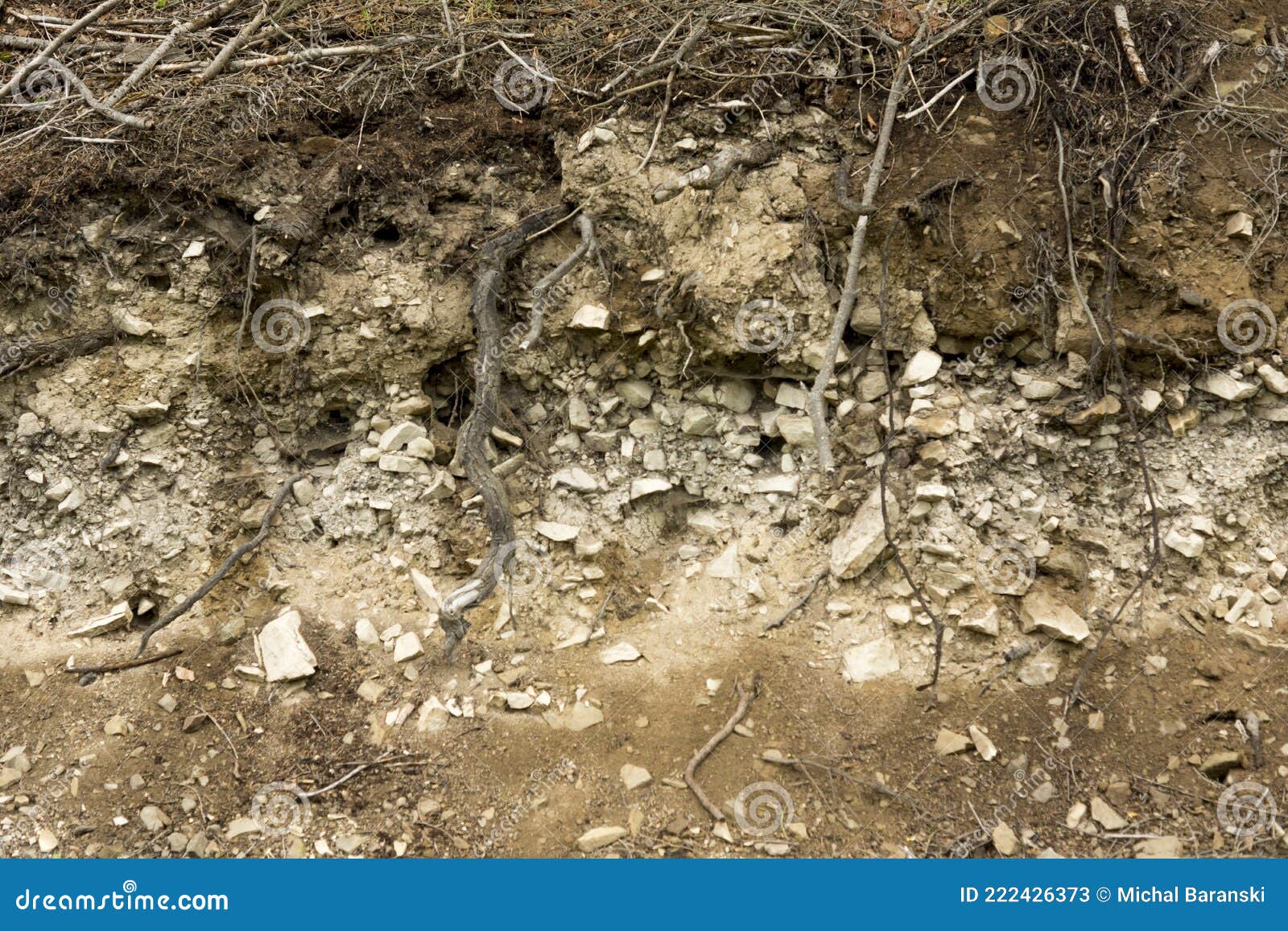 Lithosol soil stock image. Image of stone, soil, rock - 222426373