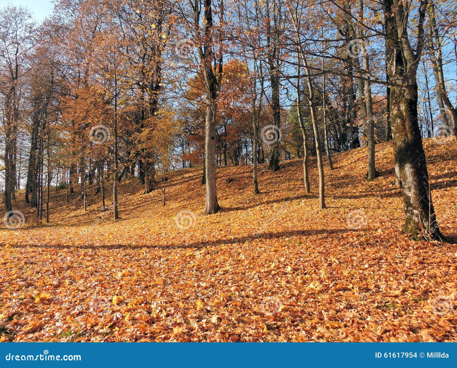Lithuanian Autumn Landscape Stock Photo - Image of beautiful, view ...
