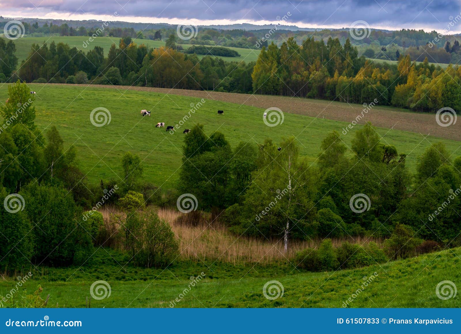Lithuanian Countryside by Medvegalis Stock Image - Image of lithuania ...