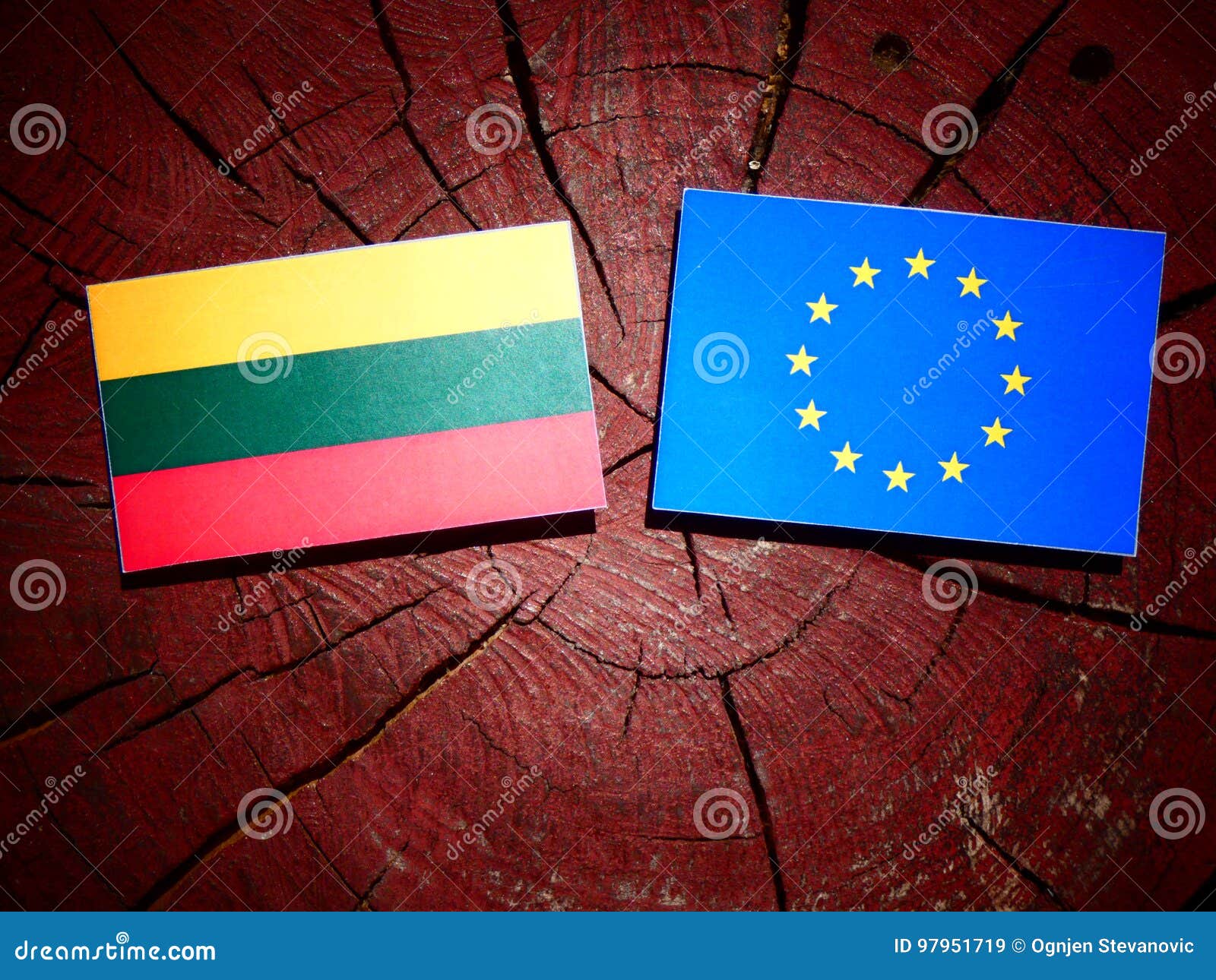 Lithuanian Flag with EU Flag on a Tree Stump Isolated Stock Image ...