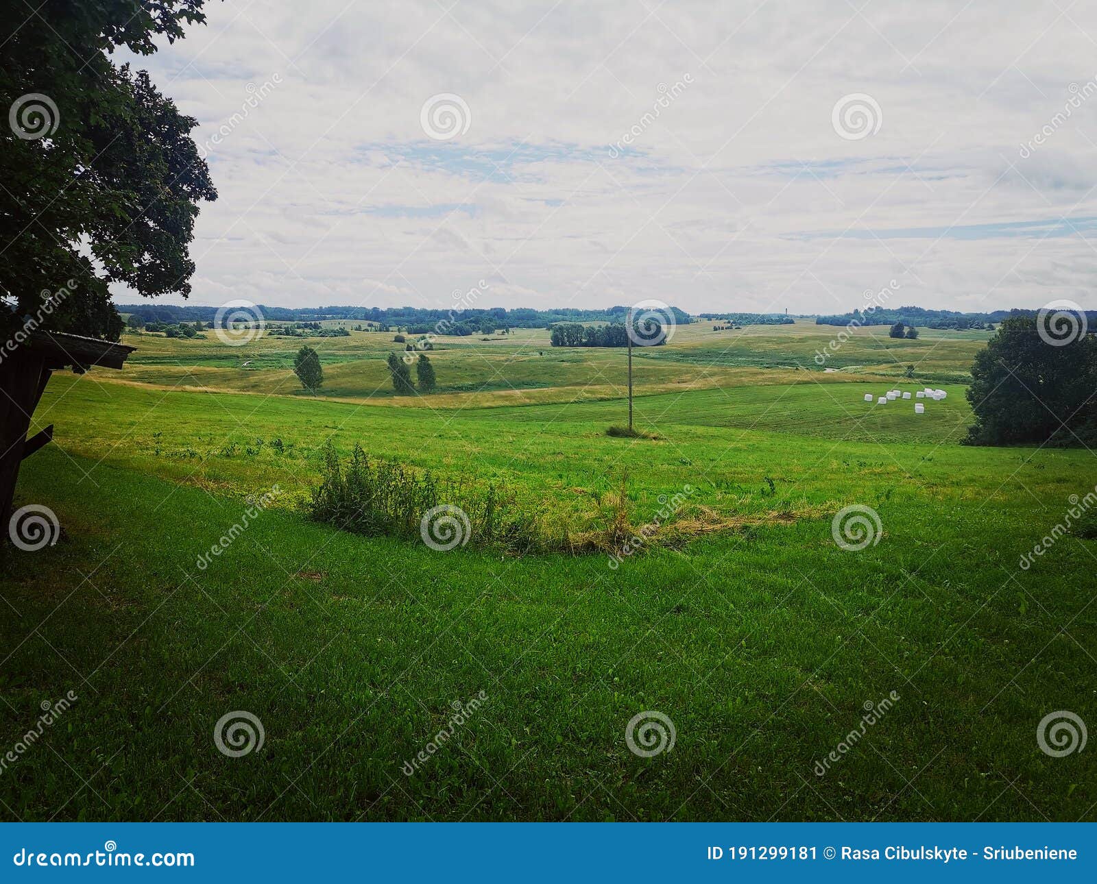 Lithuanian Hills in Midsummer Stock Image - Image of pasture, plain ...