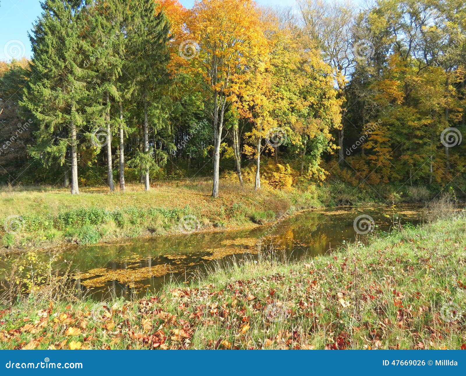 Lithuanian landscape stock photo. Image of lithuania - 47669026
