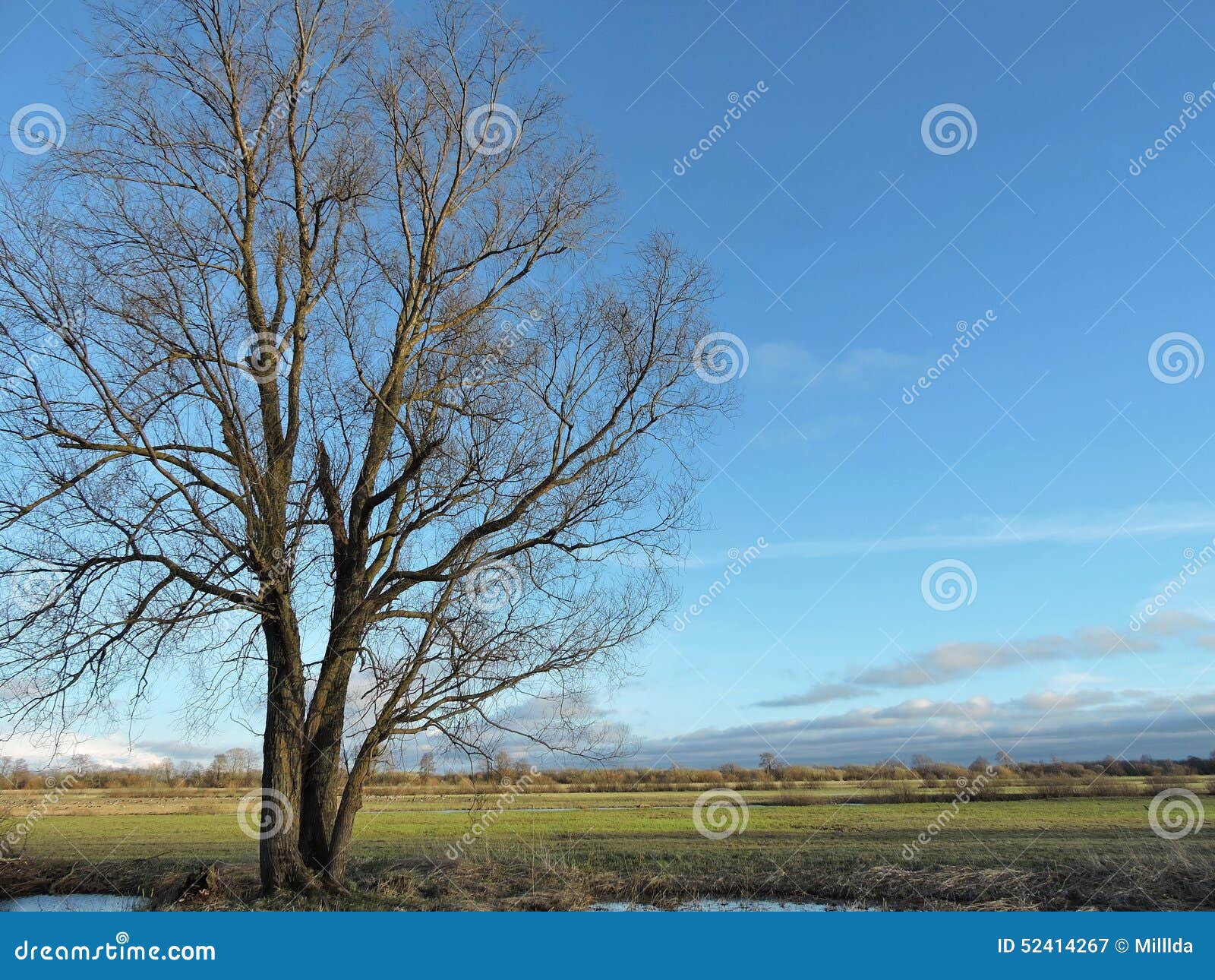 Lithuanian Spring Landscape Stock Image - Image of still, landscape ...
