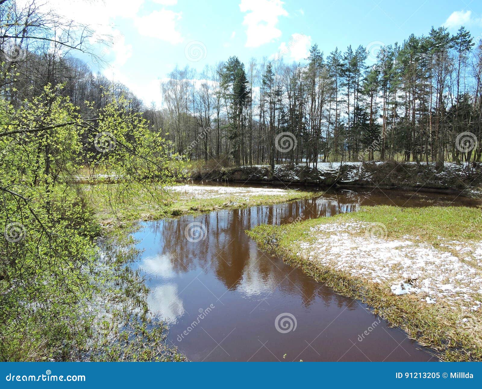 Lithuanian Spring Landscape Stock Image - Image of green, lithuanian ...