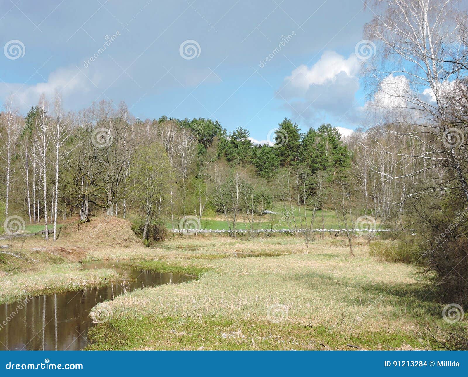 Lithuanian Spring Landscape Stock Photo - Image of tree, steam: 91213284