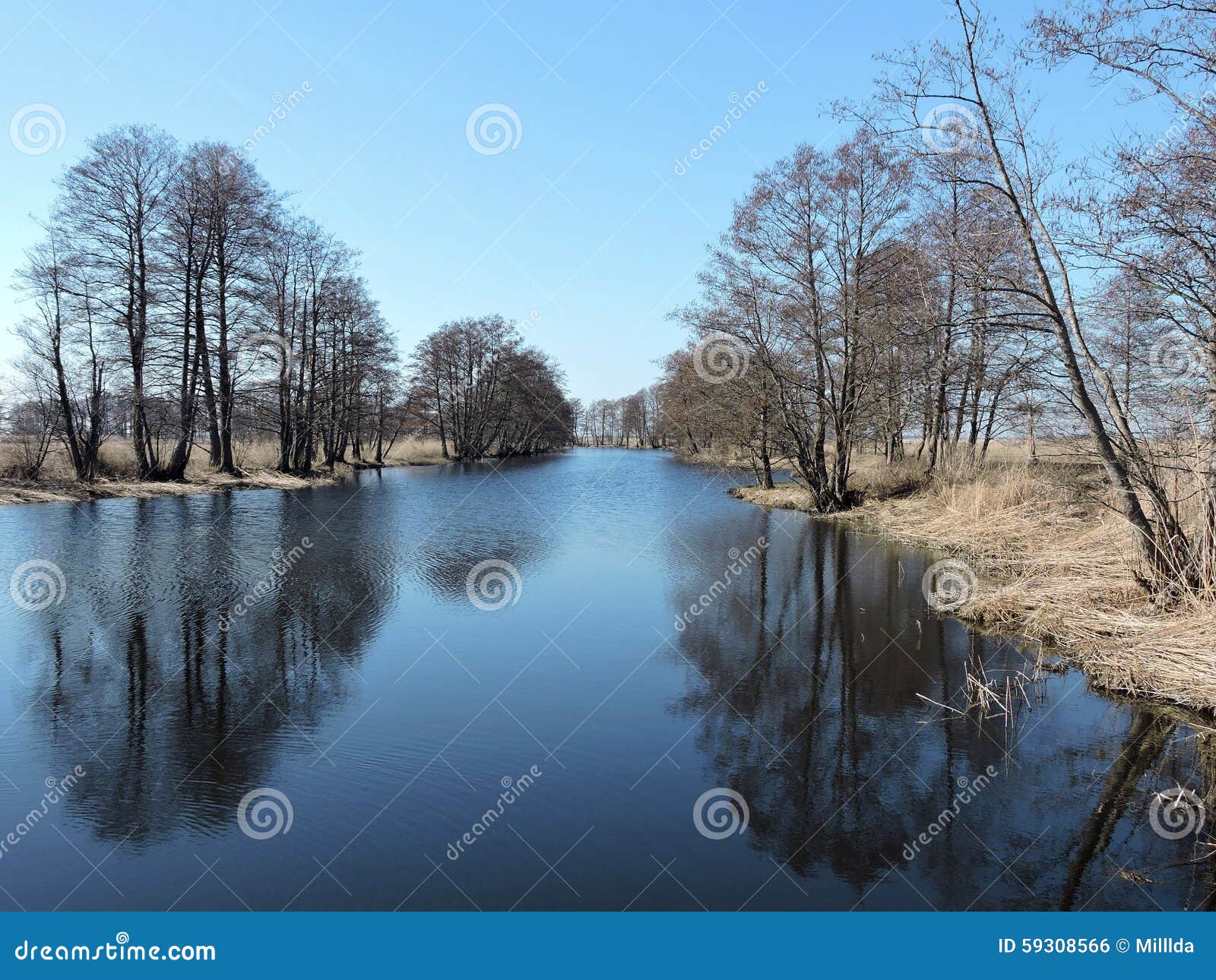 Lithuanian Spring Landscape Stock Photo - Image of beautiful, plant ...