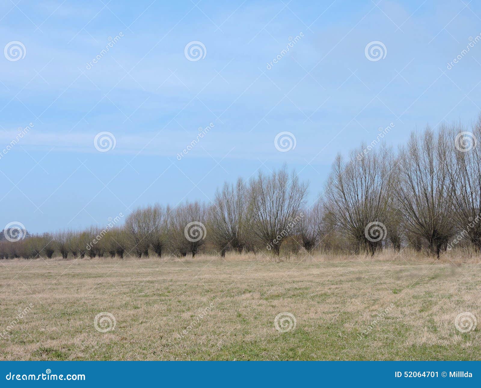 Lithuanian Spring Landscape Stock Image - Image of nice, colors: 52064701