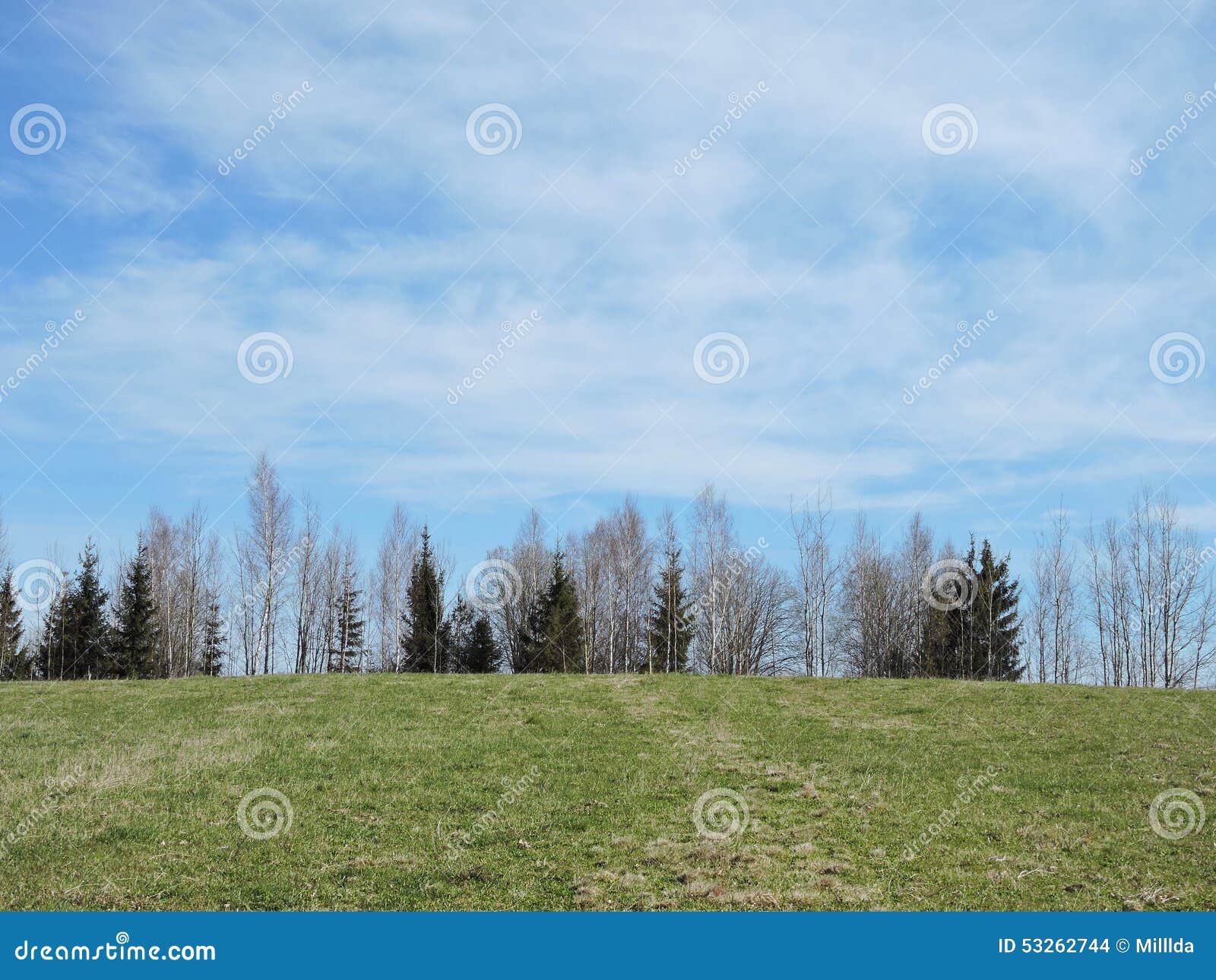Lithuanian Spring Landscape Stock Photo - Image of tree, trees: 53262744