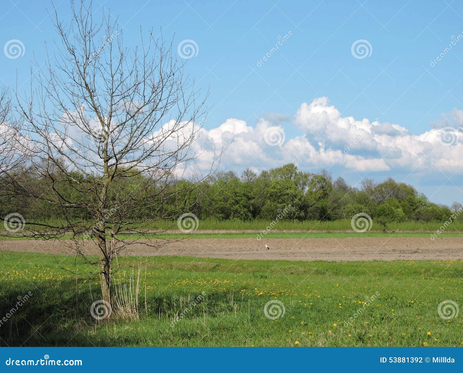 Lithuanian Spring Landscape Stock Photo - Image of grass, lithuanian ...