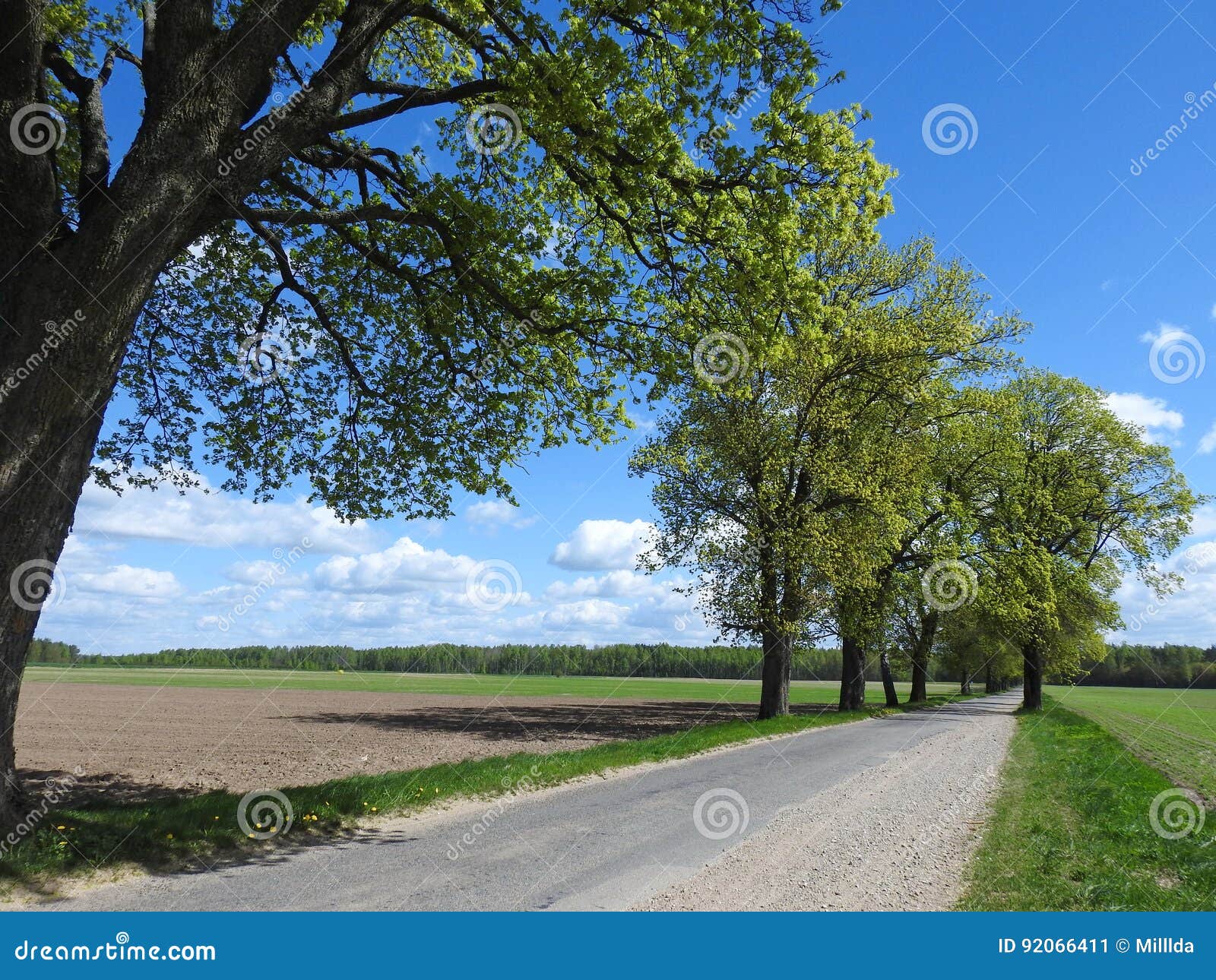 Lithuanian Spring Landscape Stock Image - Image of grass, nature: 92066411