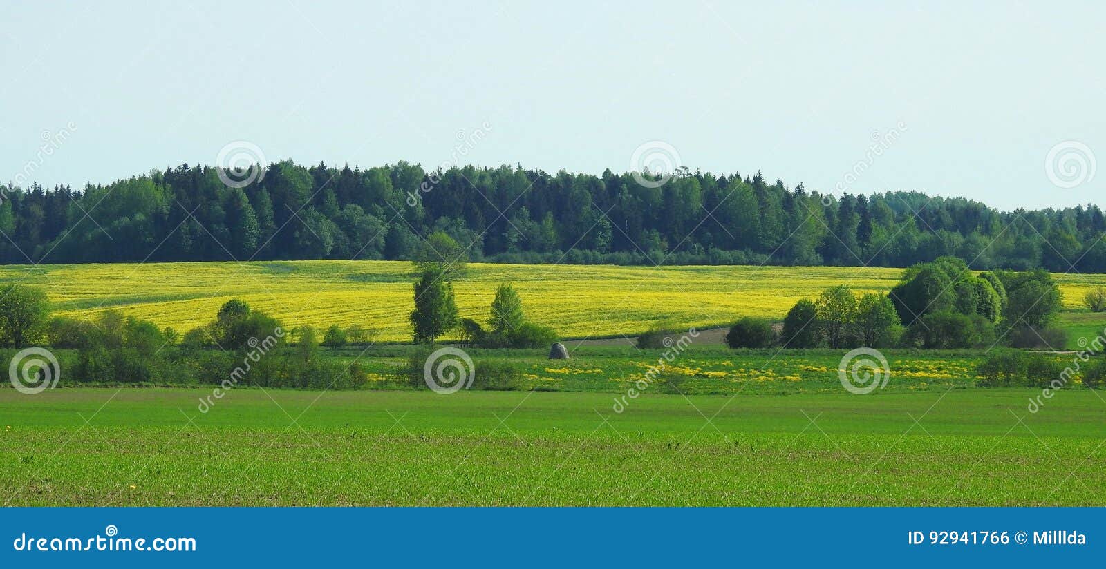 Lithuanian Spring Landscape Stock Photo - Image of landscape, meadow ...