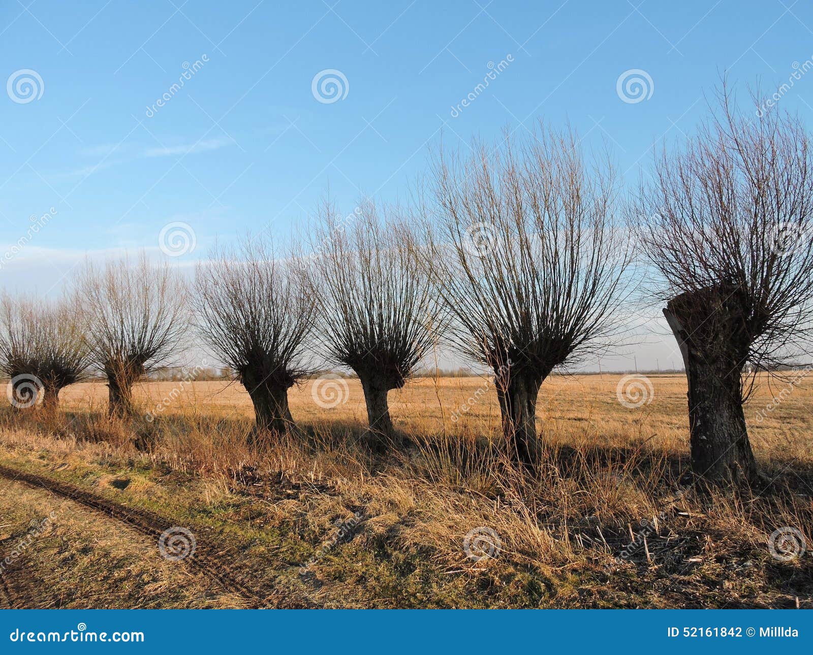 Lithuanian Spring Landscape Stock Photo - Image of spring, field: 52161842