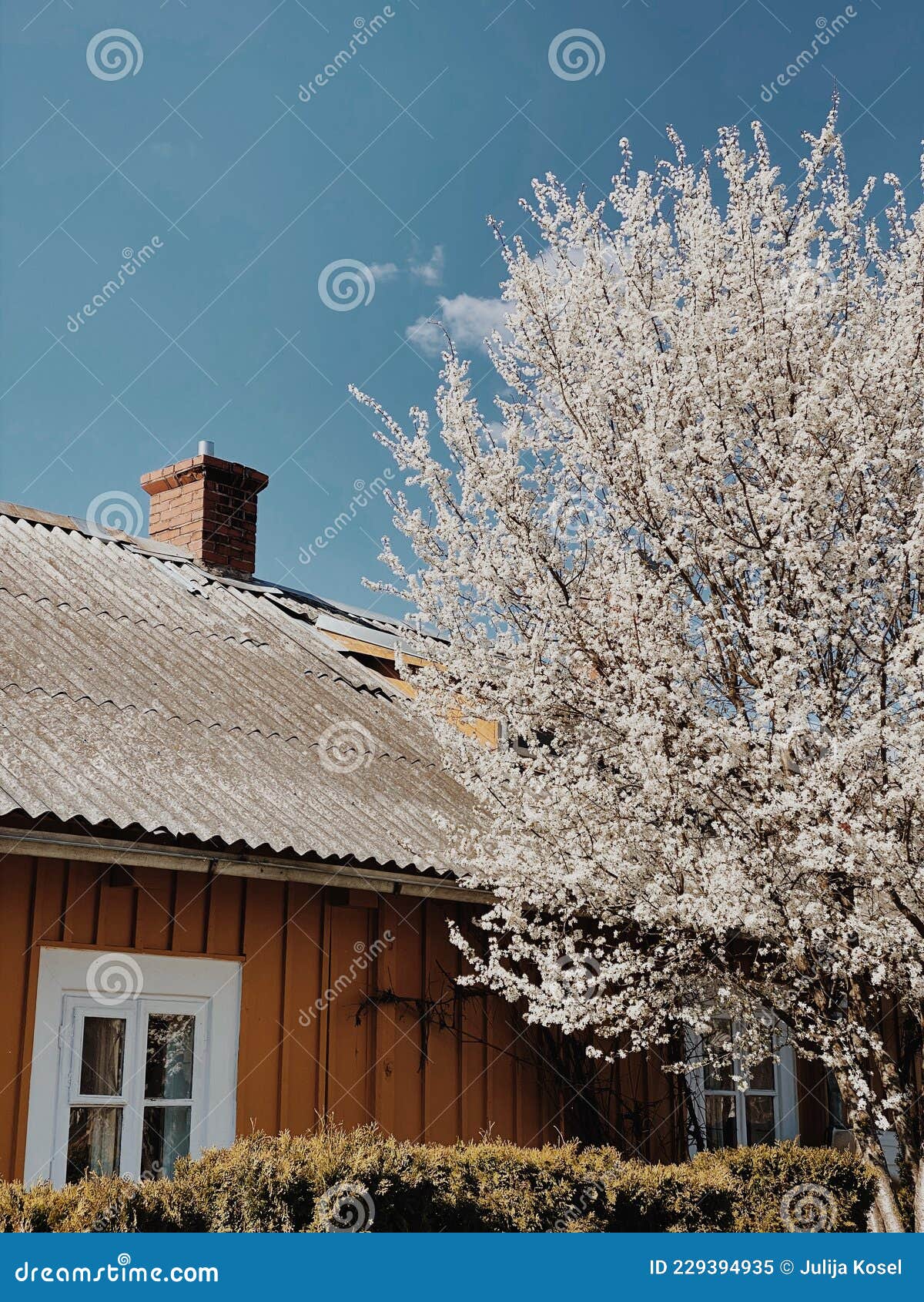 Beautiful Karaim Stock Photos - Free & Royalty-Free Stock Photos from ...