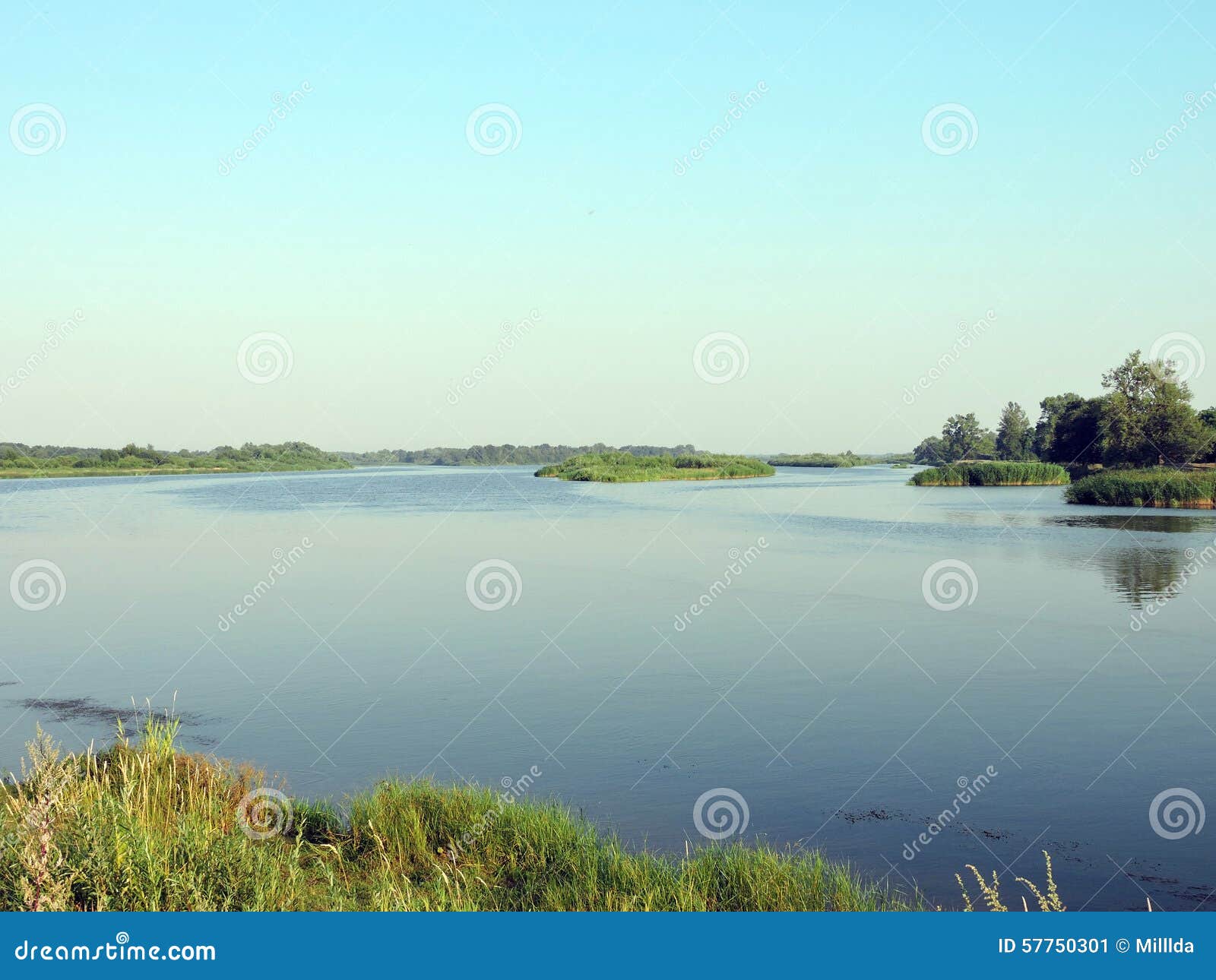 Lithuanian Summer Landscape Stock Image - Image of nemunas, trees: 57750301