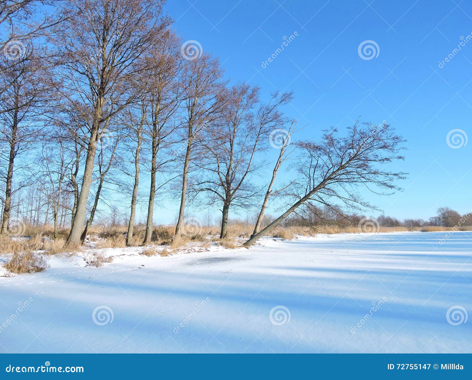 Lithuanian Winter Landscape Stock Image - Image of lithuania, shadow ...