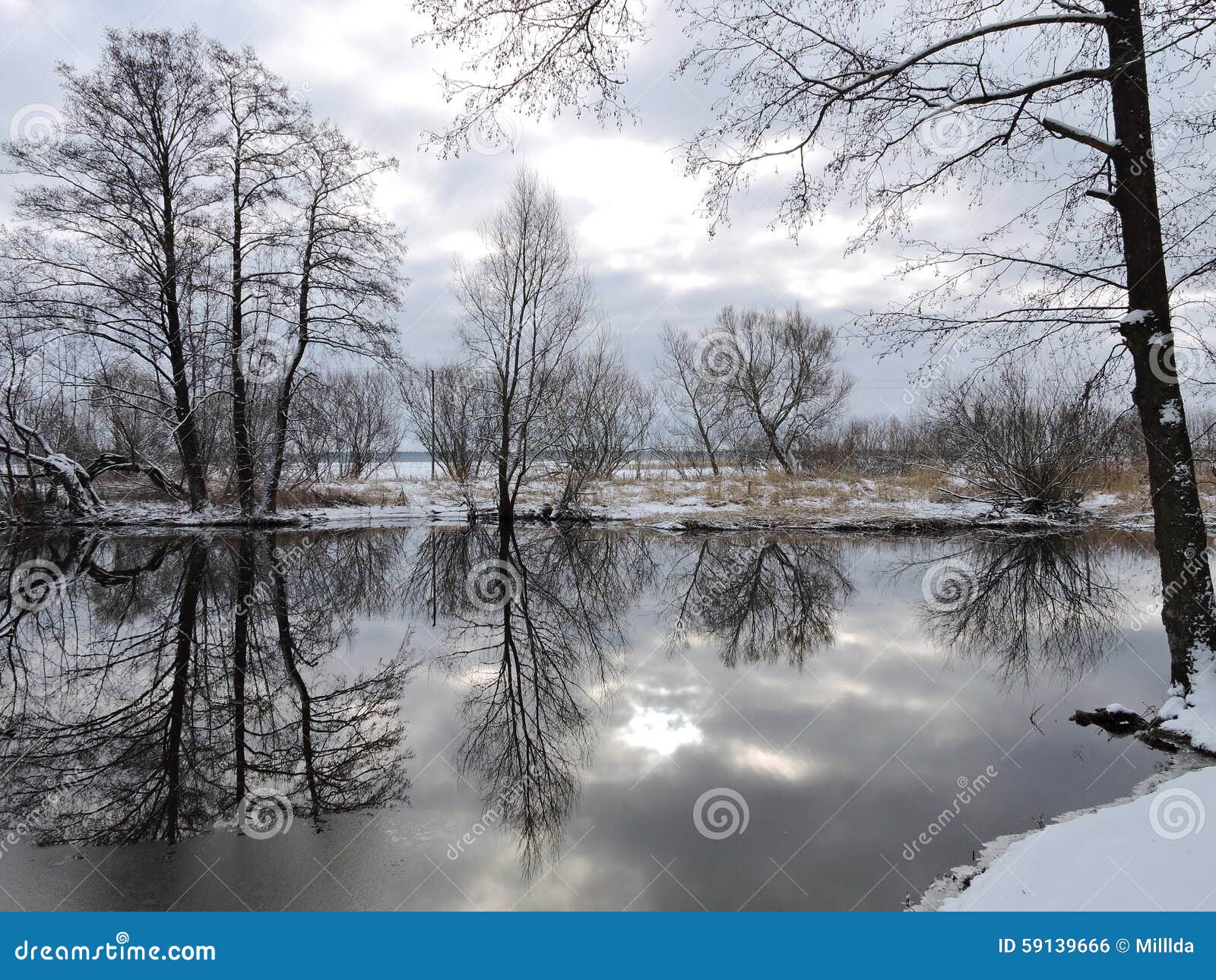 Lithuanian Winter Landscape Stock Photo - Image of trees, view: 59139666