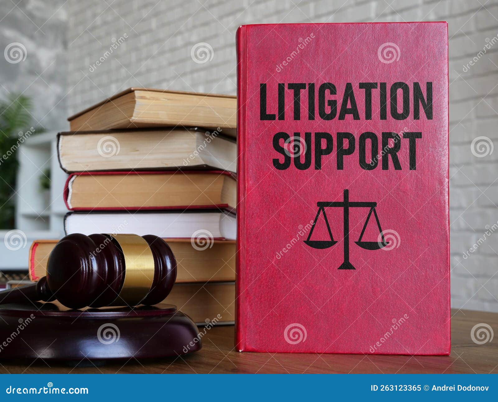 Litigation Support is Shown Using the Text Stock Image - Image of ...