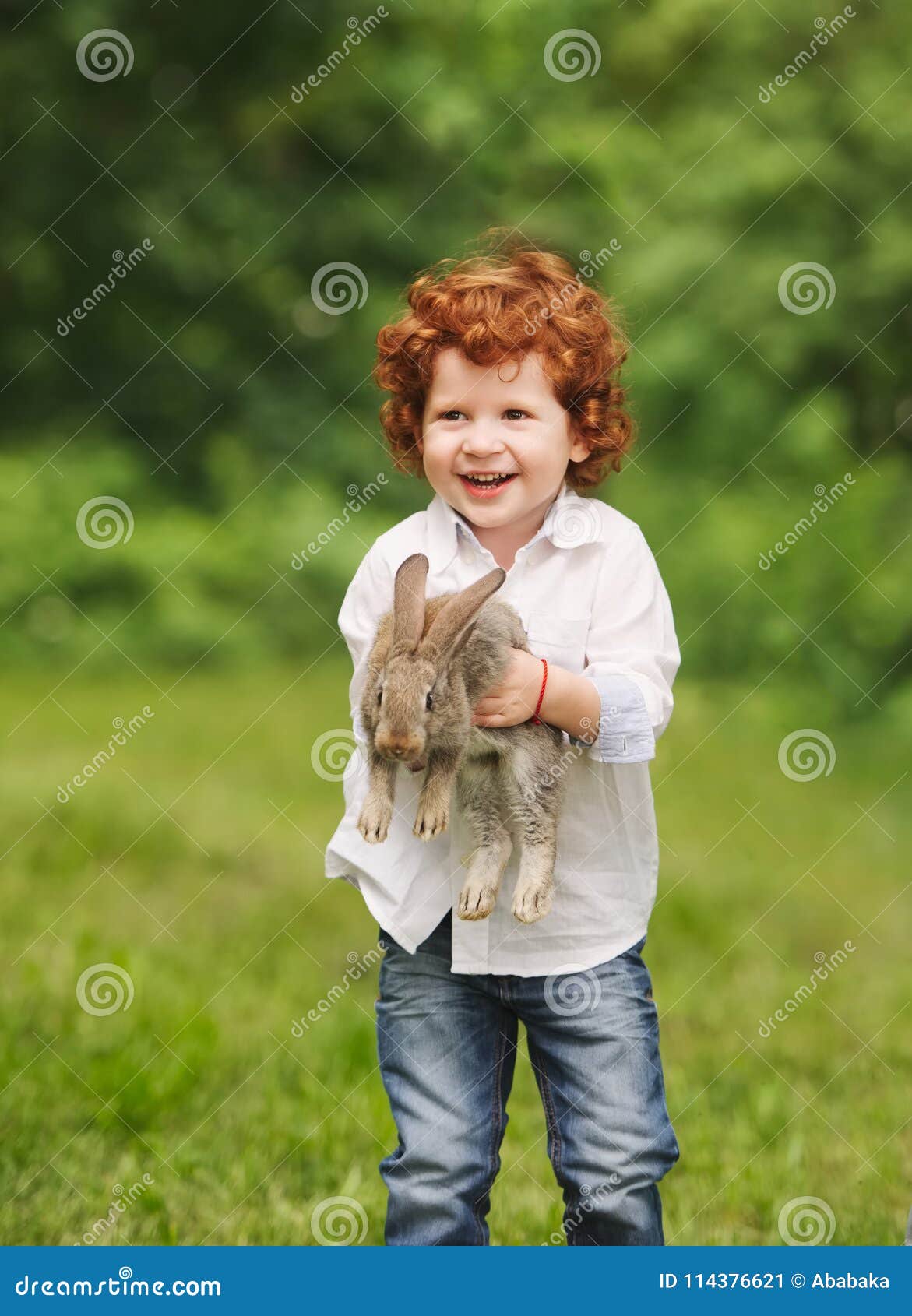Litle Boy Plays with Rabbit in Park Stock Image - Image of feed ...