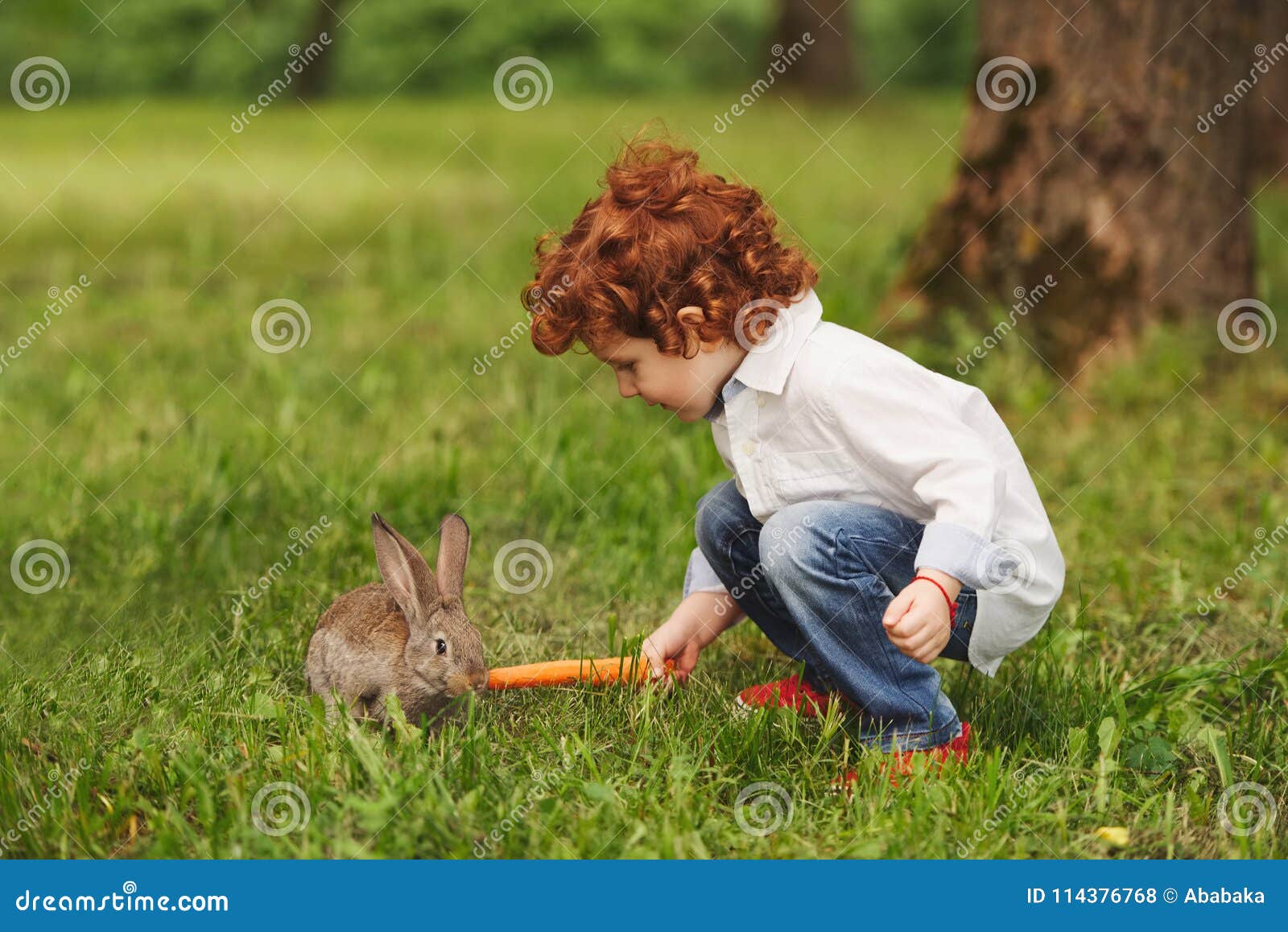 Litle Boy Plays with Rabbit in Park Stock Photo - Image of farm, bunny ...