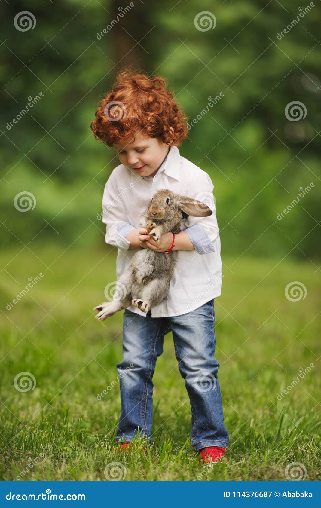 Litle Boy Plays with Rabbit in Park Stock Image - Image of person ...