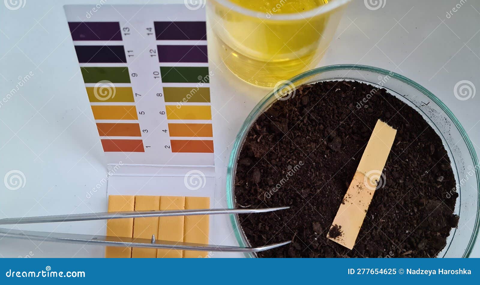 Litmus Indicator for Testing Soil in Laboratory Stock Image - Image of ...