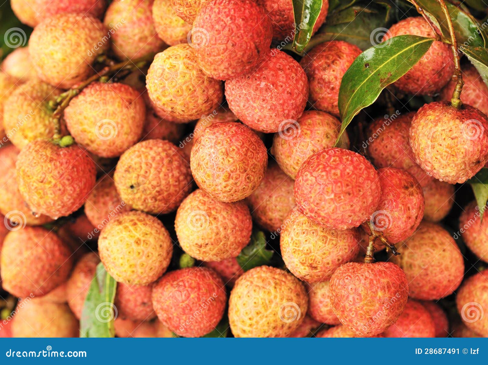 Litschi chinensis stockbild. Bild von markt, gelb, frisch - 28687491