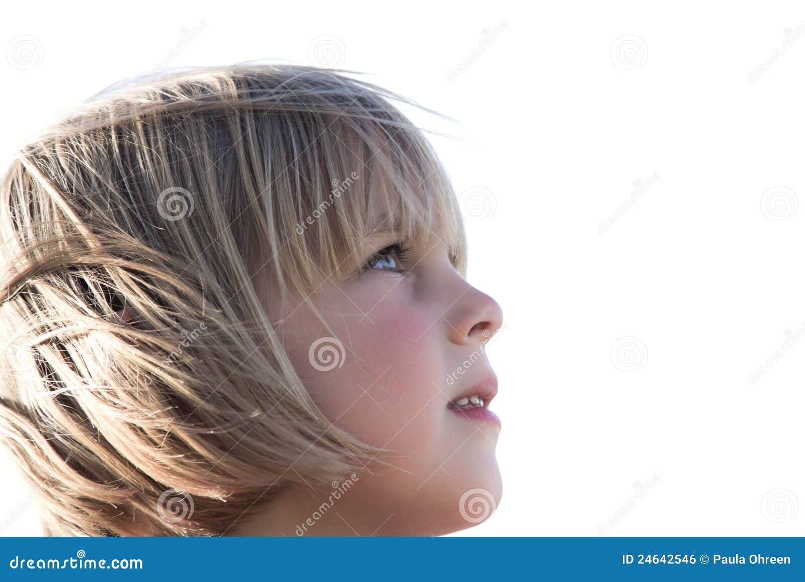 Little Girl with Look of Awe Stock Photo - Image of daughter, white ...