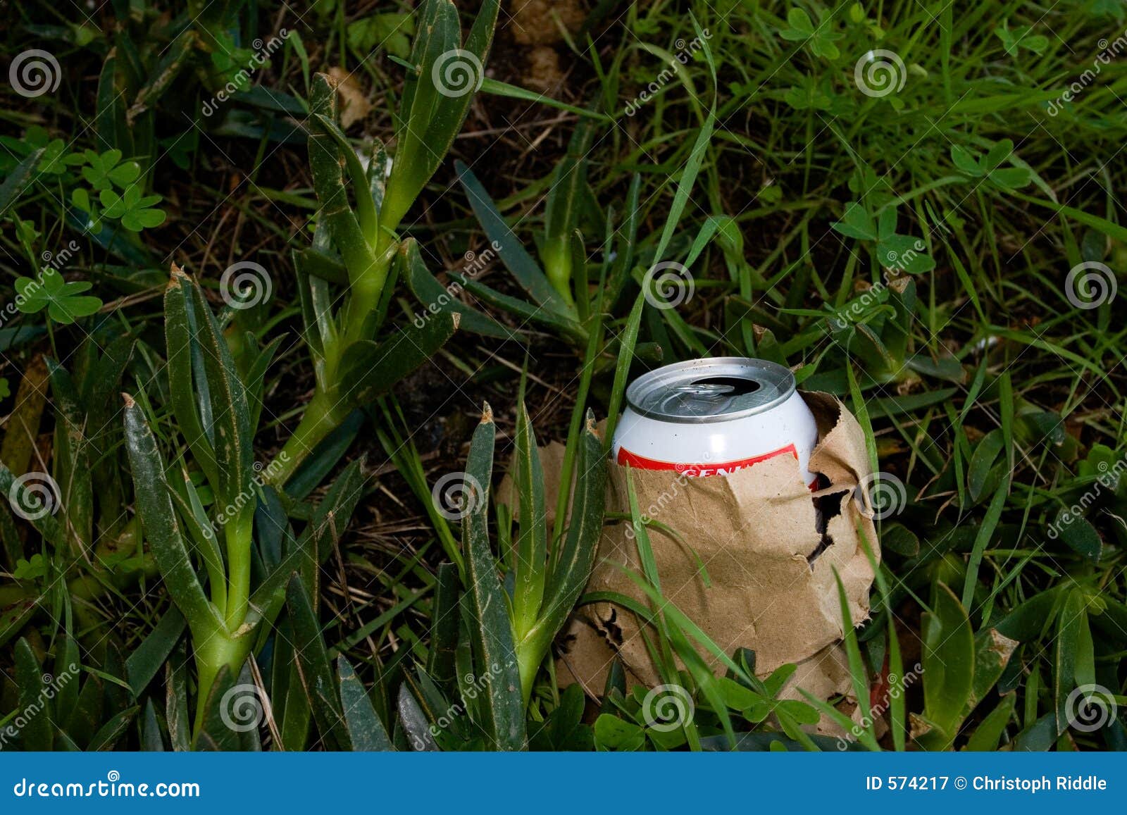 Litter stock image. Image of environment, dark, limb, issue - 574217