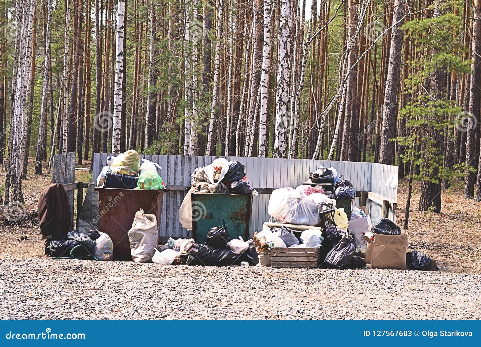 Litter Box Full of Garbage in Forest. Concept of Ecology Problem Stock ...
