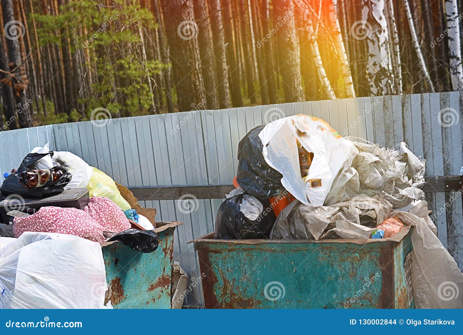 Litter Box Full of Garbage in Forest. Concept of Ecology Problem Stock ...