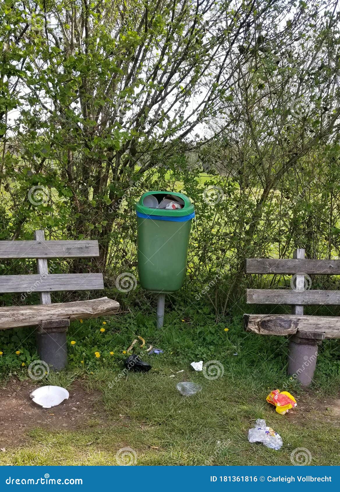 Litter and Full Trash in Park Stock Photo - Image of pollution, litter ...