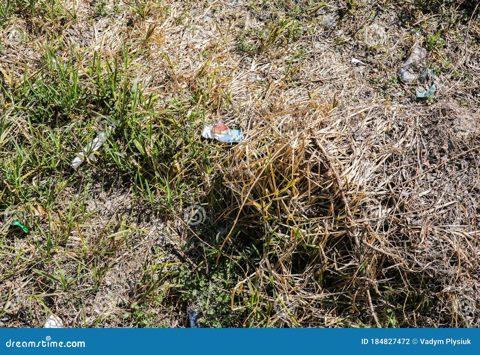 Litter in the Nature. Plastic Bottles and Packets. Pollution of the ...