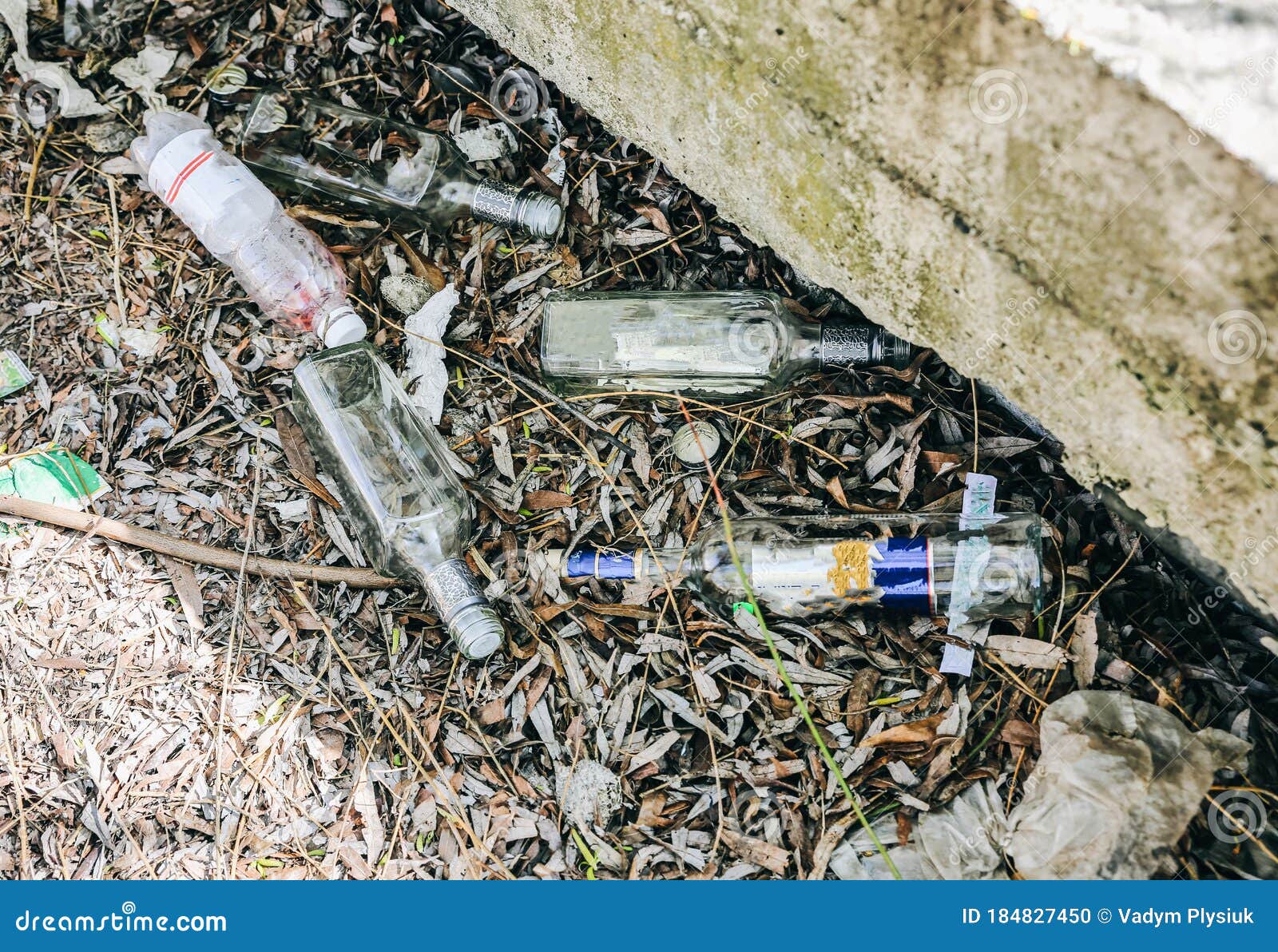 Litter in the Nature. Plastic and Glass Bottles. Pollution of the ...