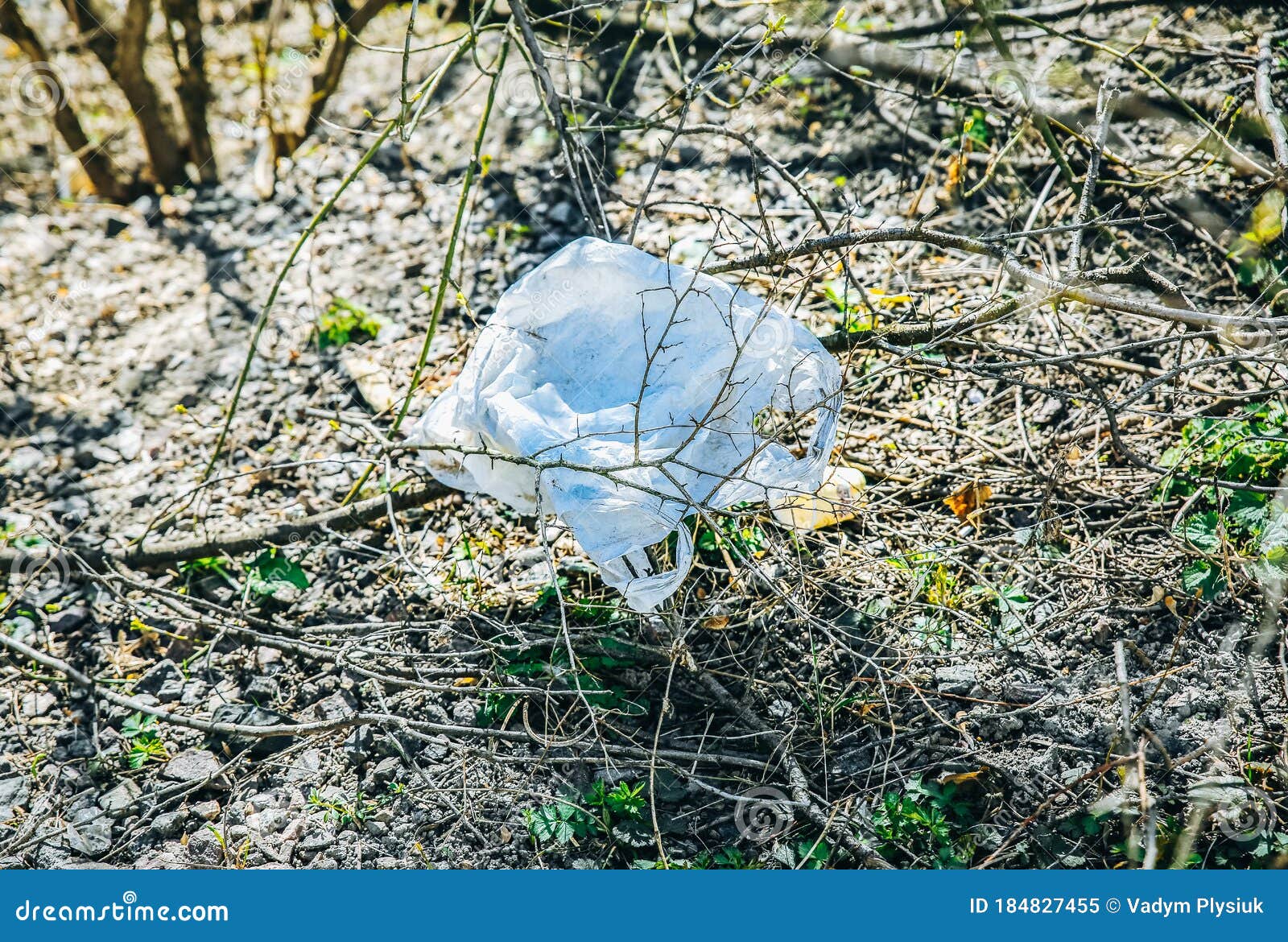 Litter in the Nature. Plastic Packets. Pollution of the Environment ...