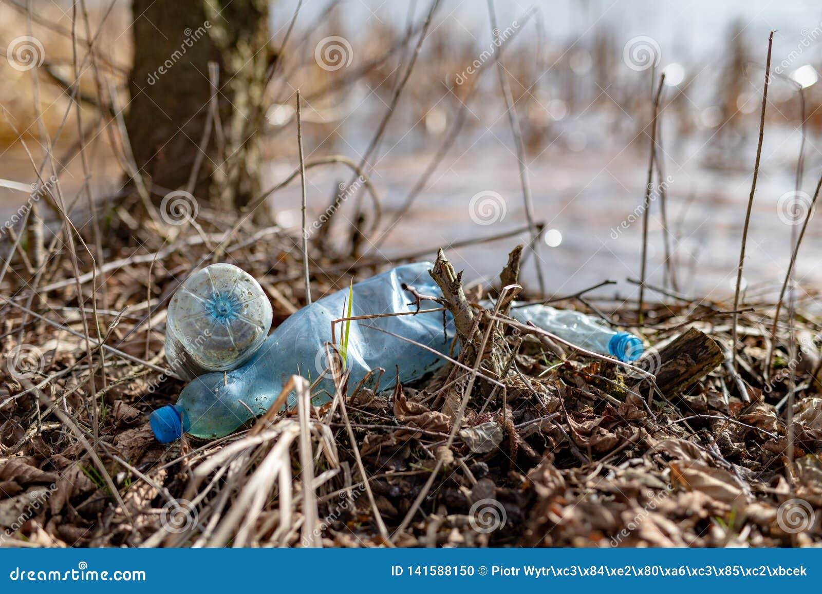 Littered by the Edge of the Lake by Plastic Bottles. Polluted ...