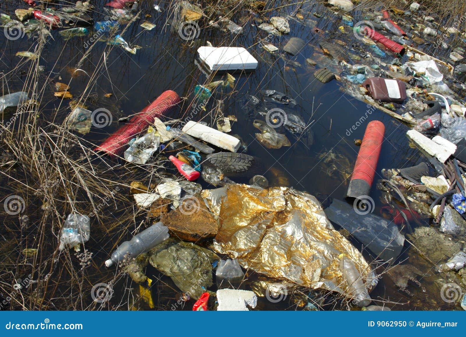 Littered river stock photo. Image of clutter, junk, green - 9062950
