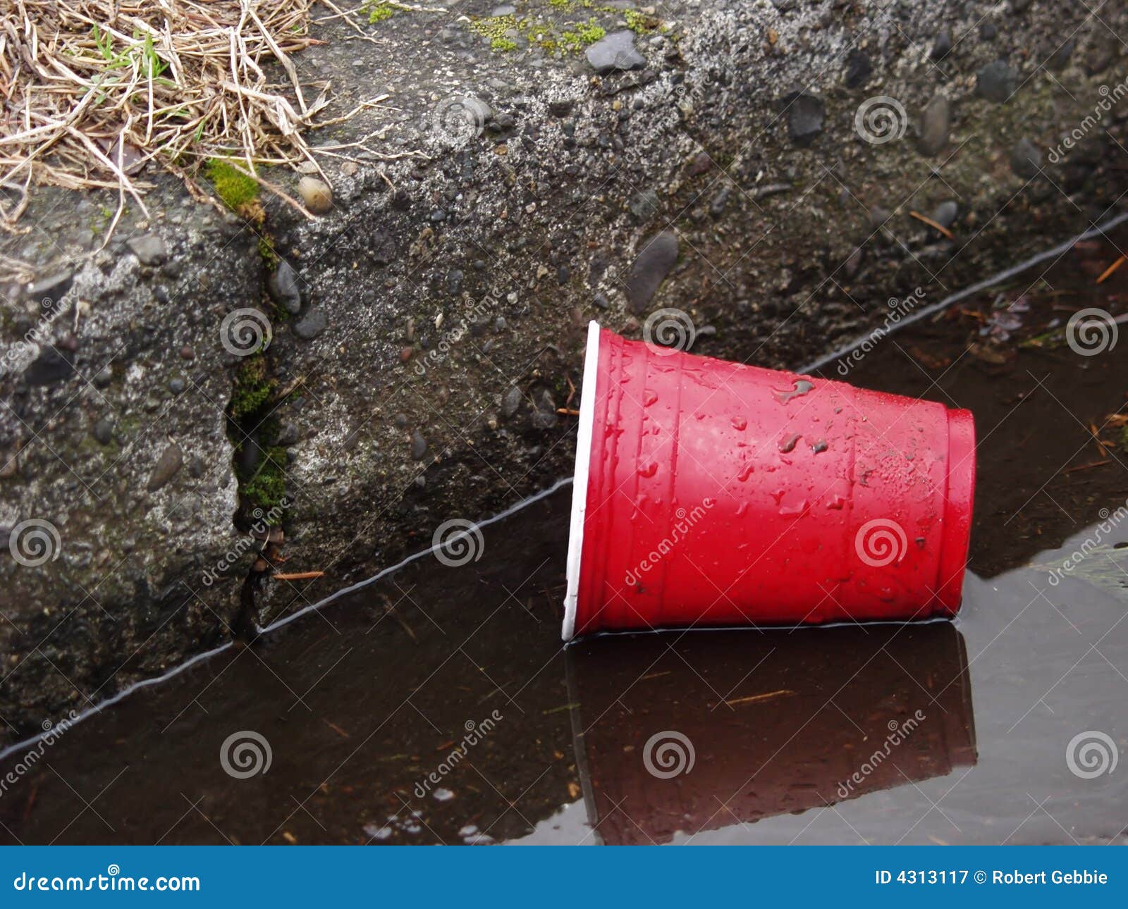 Littering stock image. Image of dirty, refuse, drink, plastic - 4313117