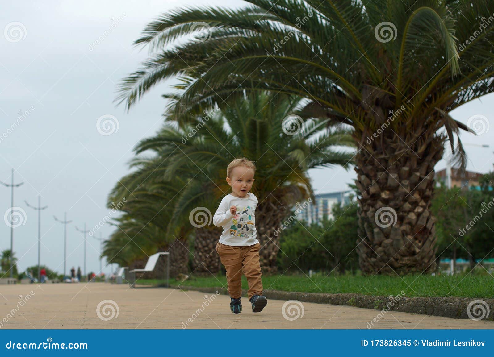 Little Active Boy Running Down the Path and Smiling. Palm Trees and ...
