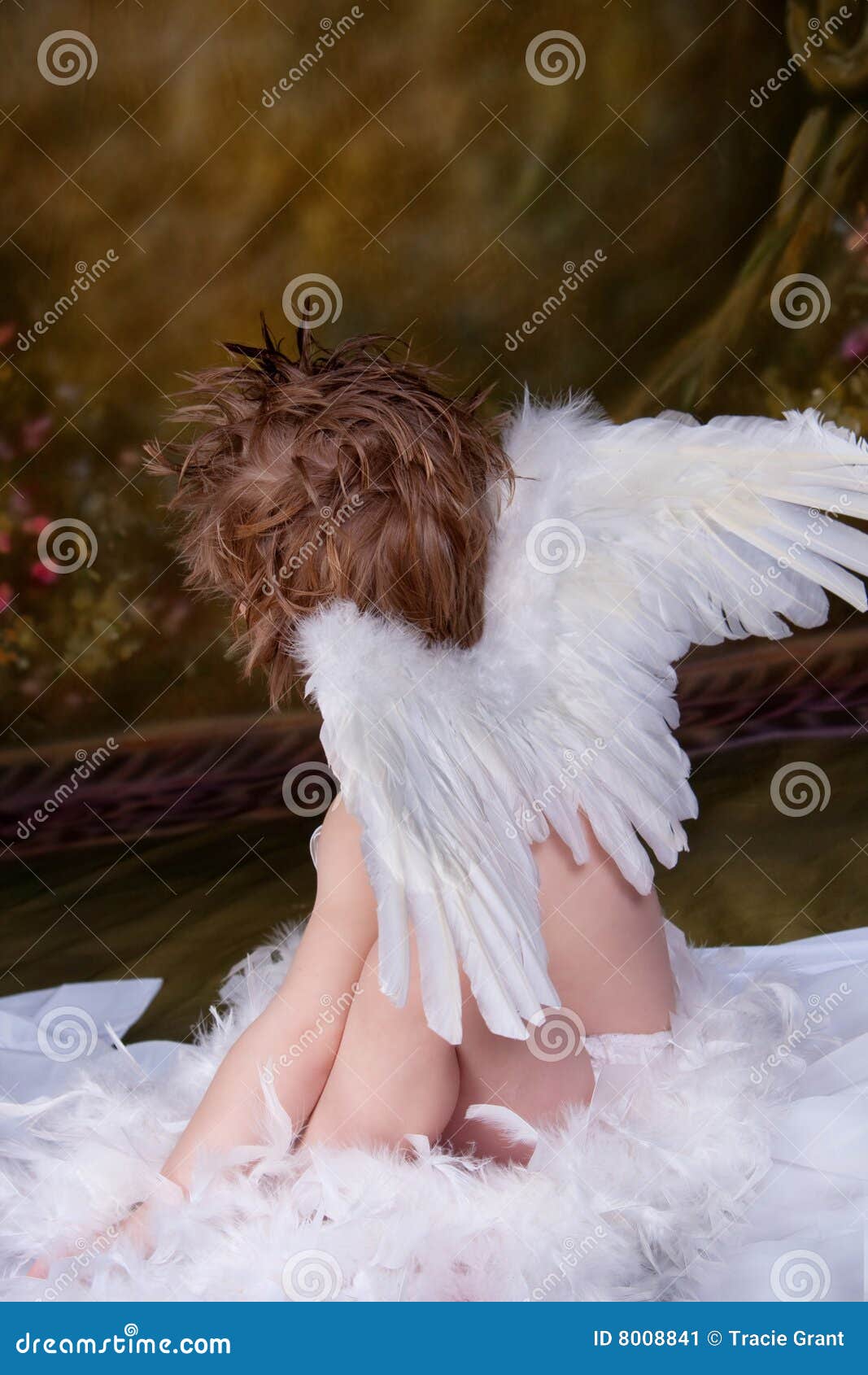 Little Angel Boy stock image. Image of valentines, heart - 8008841