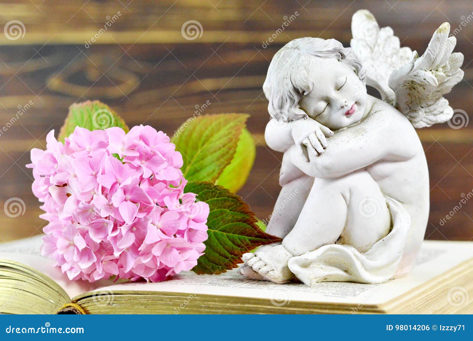 Little angel and flower stock photo. Image of memorial - 98014206