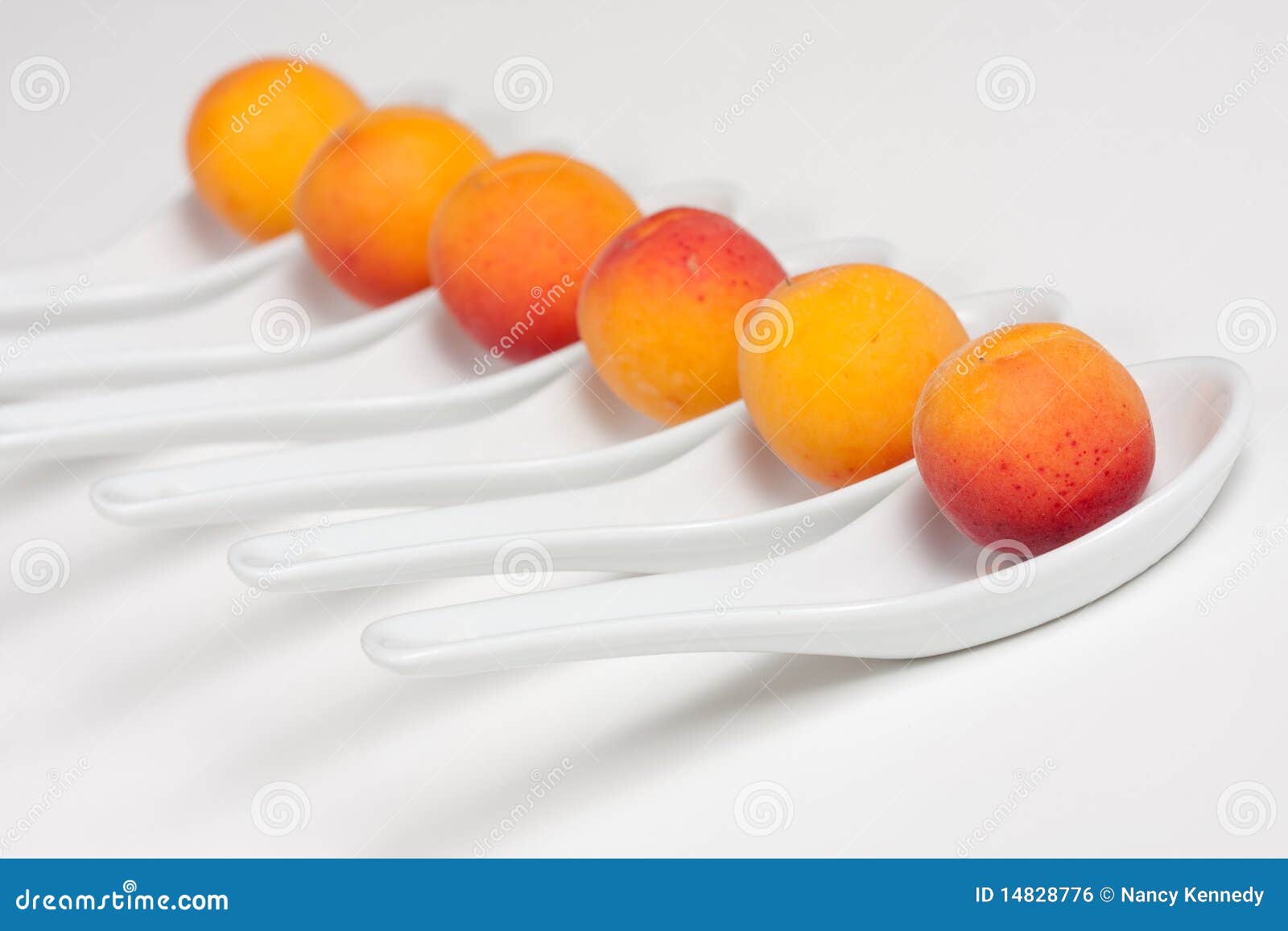 Little Apricots stock photo. Image of sweet, porcelain - 14828776