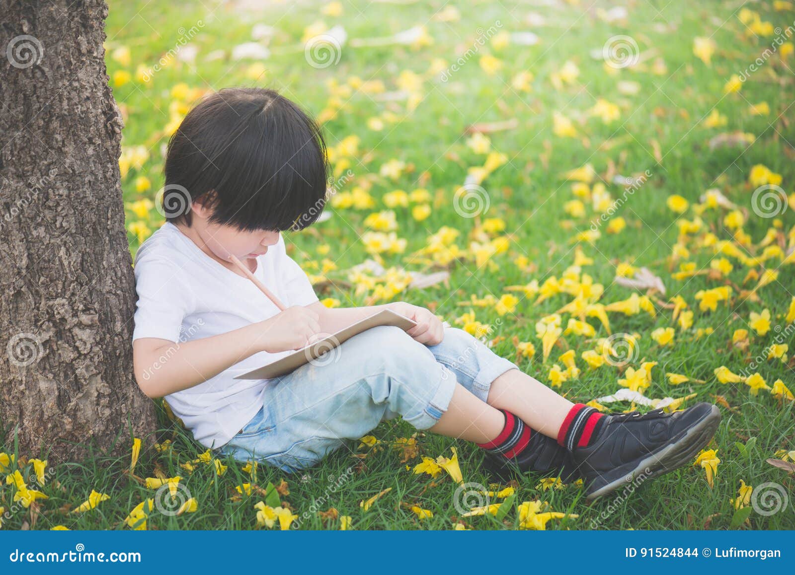 Little Asian Boy Sitting Under the Tree and Drawing in Notebook Stock ...