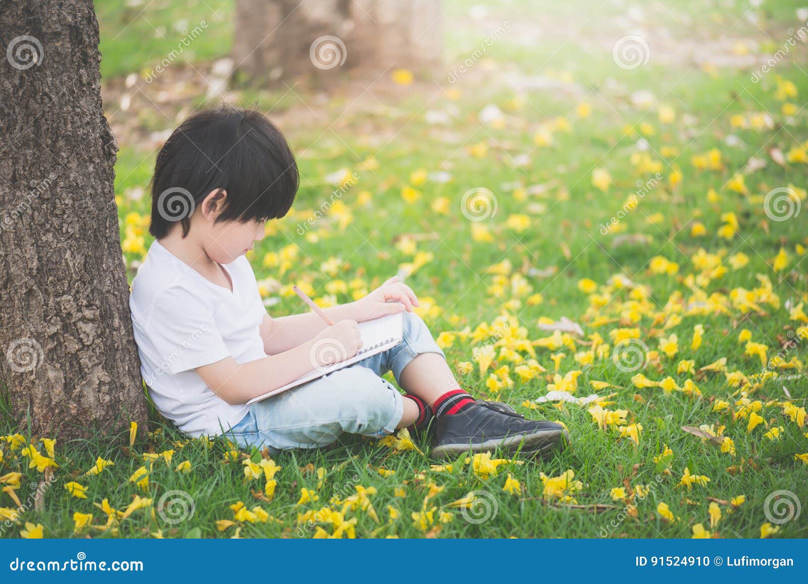 Little Asian Boy Sitting Under the Tree and Drawing in Notebook Stock ...