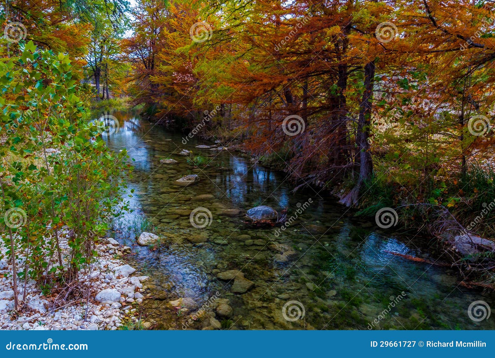 A Little Babbling Brook with Stunning Fall Cypress Trees Stock Image ...