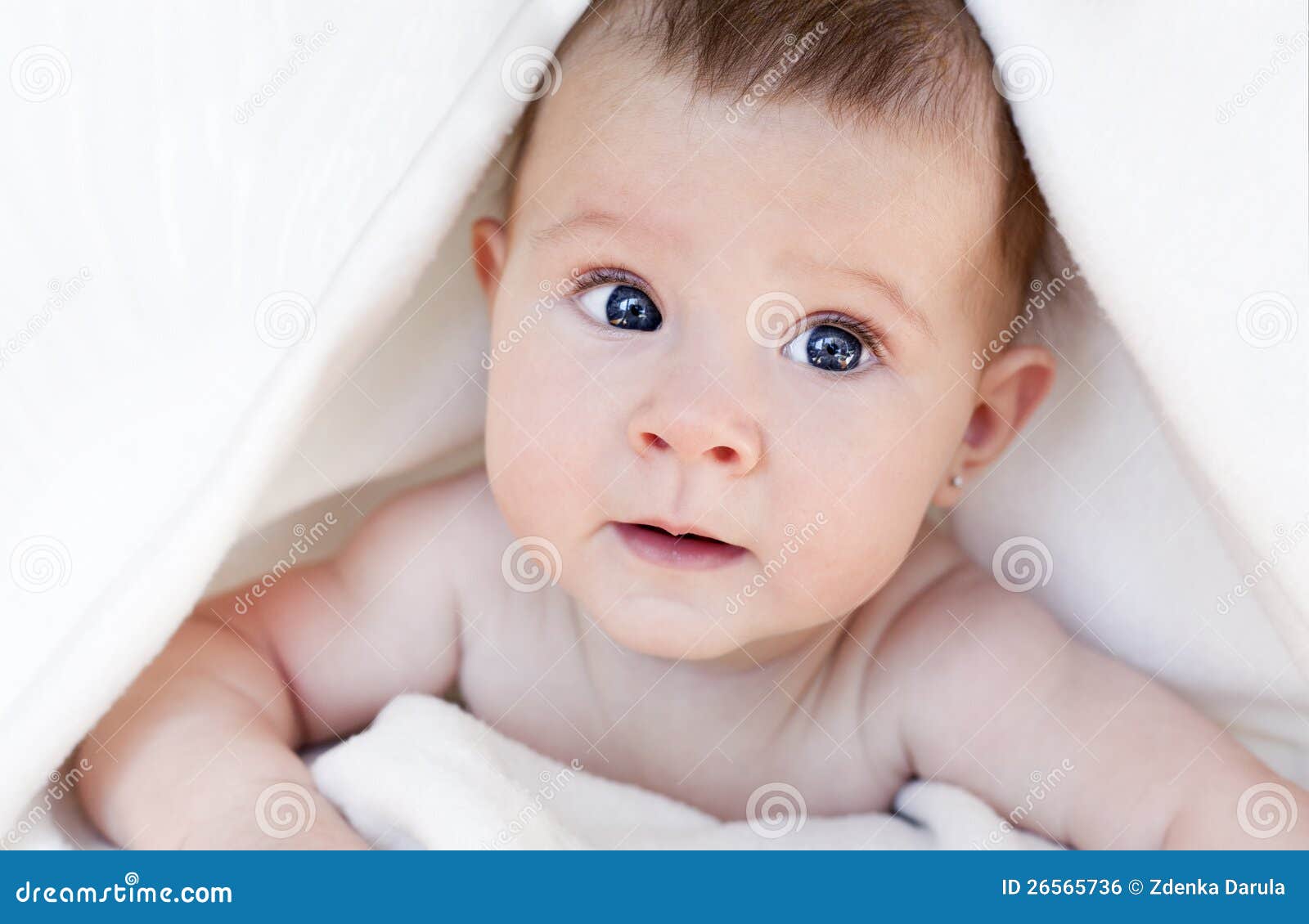 Little baby stock photo. Image of portrait, childhood - 26565736